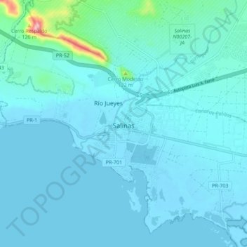 Salinas topographic map, elevation, terrain