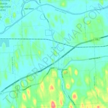 Town of Mentz topographic map, elevation, terrain